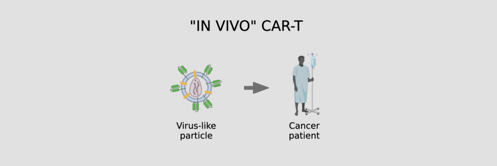 GigaMune – in vivo cell therapy