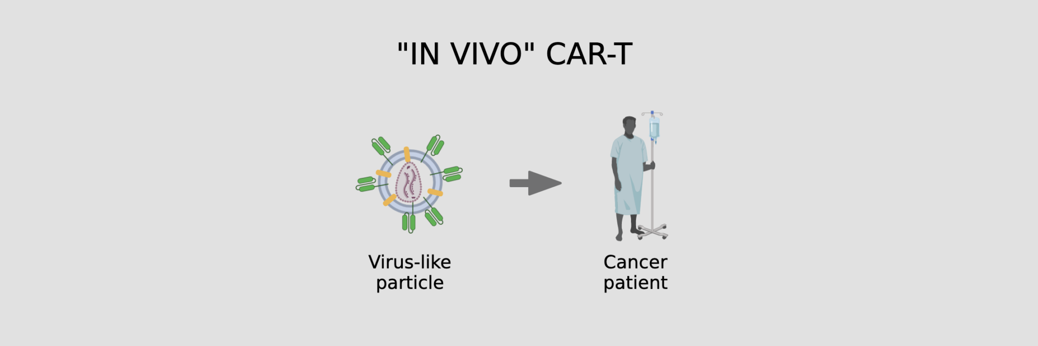 GigaMune – in vivo cell therapy