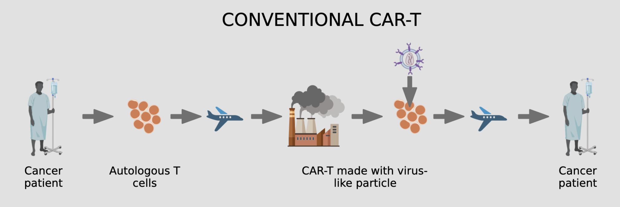 GigaMune – in vivo cell therapy